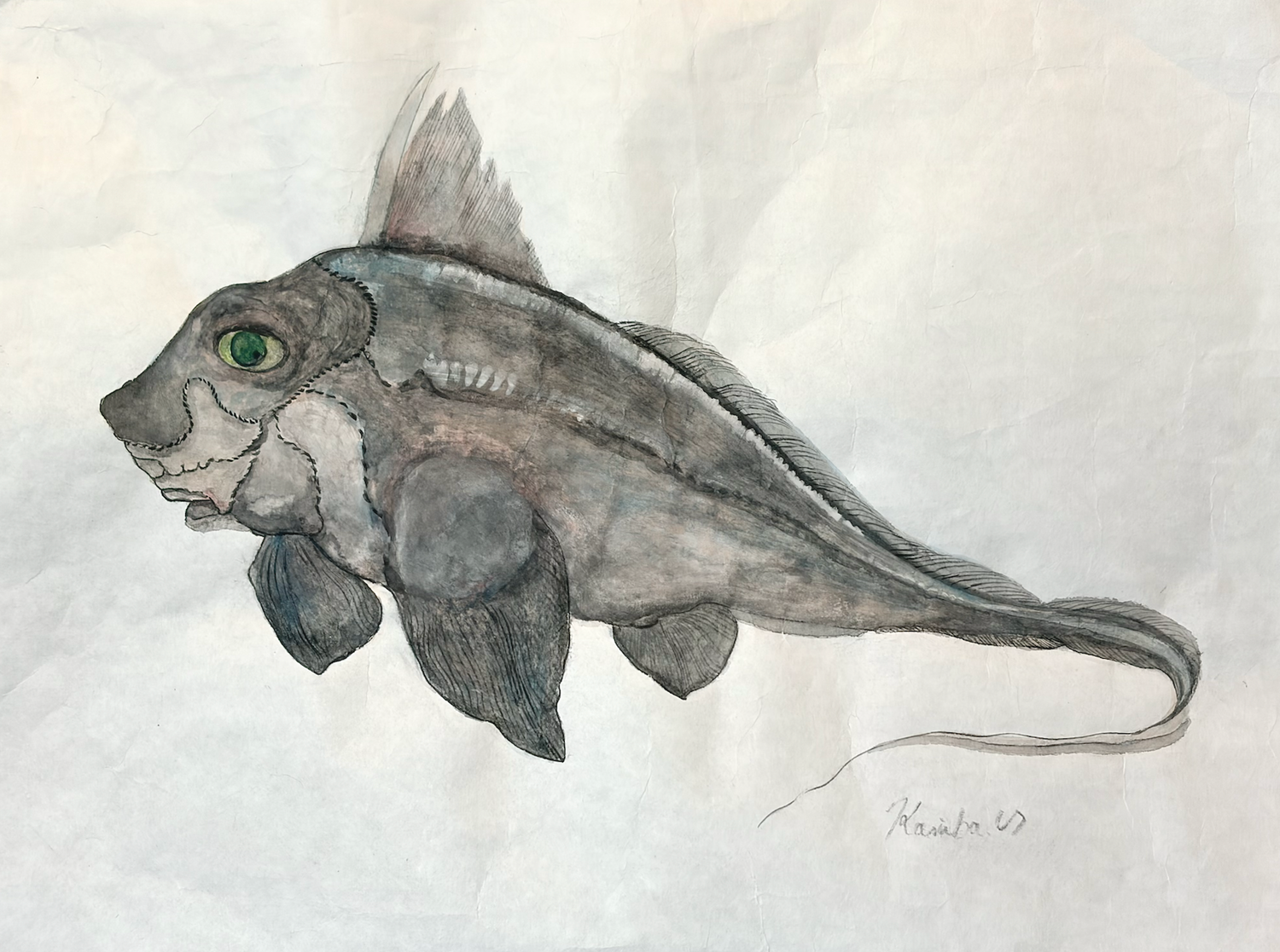 33. “深層に息づく銀”『ギンザメ』という原始的な魚 — 喜代丸｜株式会社伊藤商店