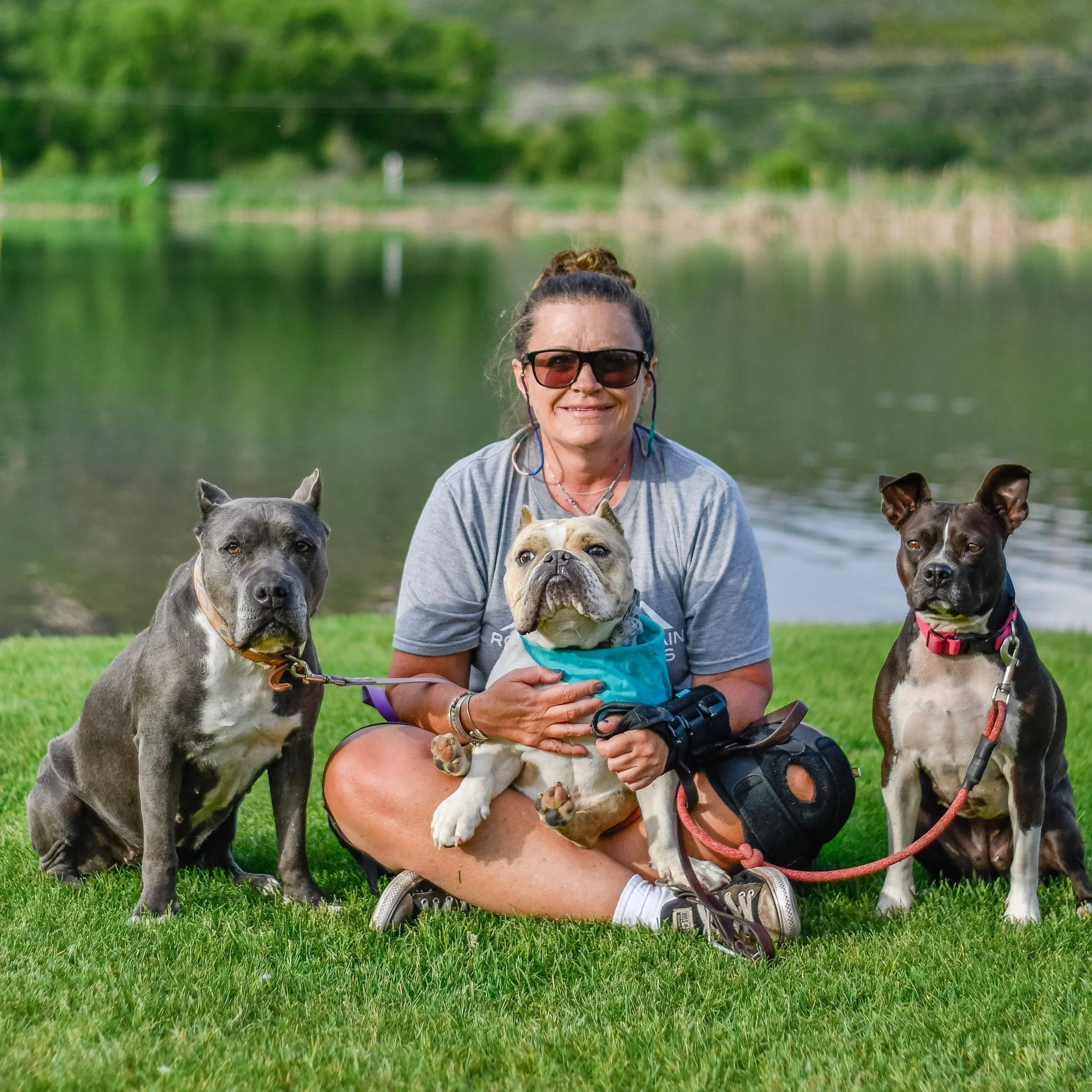Training & Certification — Rocky Mountain Therapy Dogs