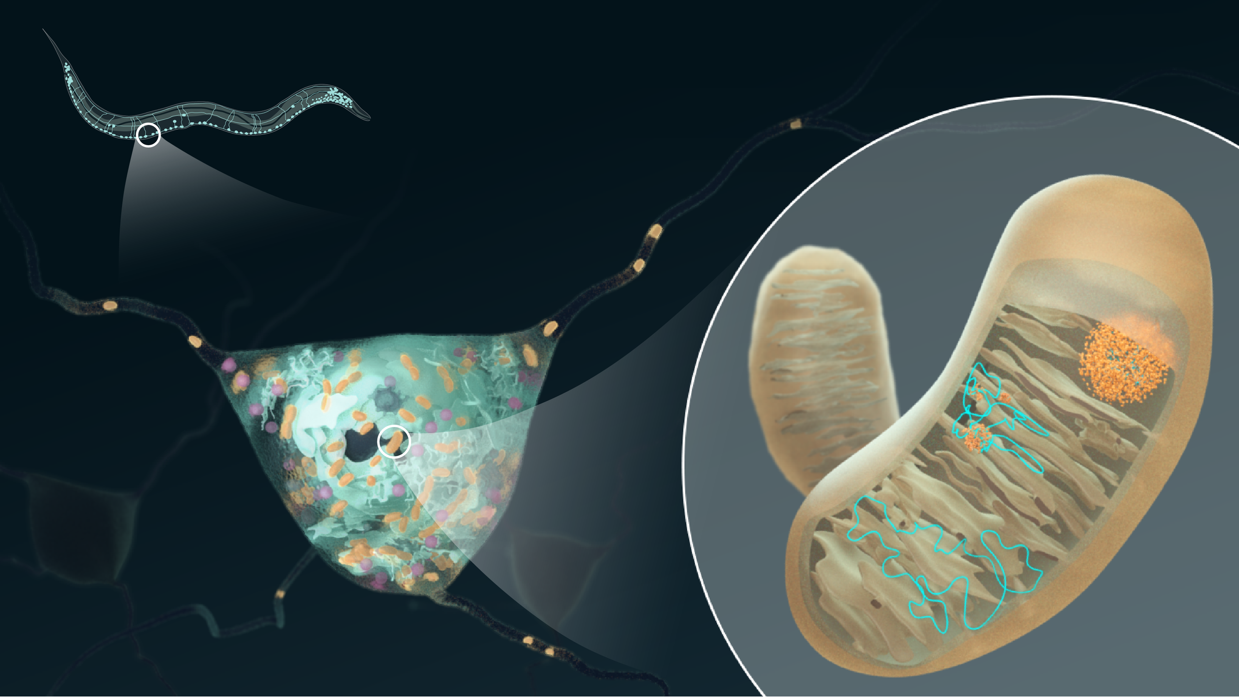 Lewis Lab @ UC Berkeley