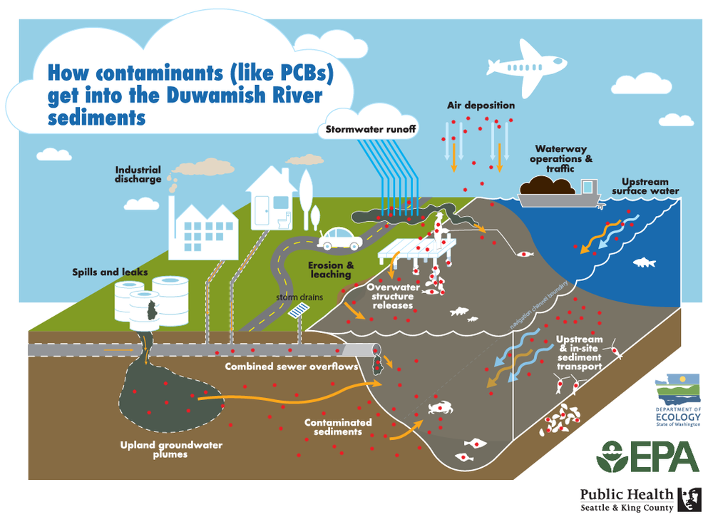 Sources of Pollution to the River — Duwamish River Community Coalition