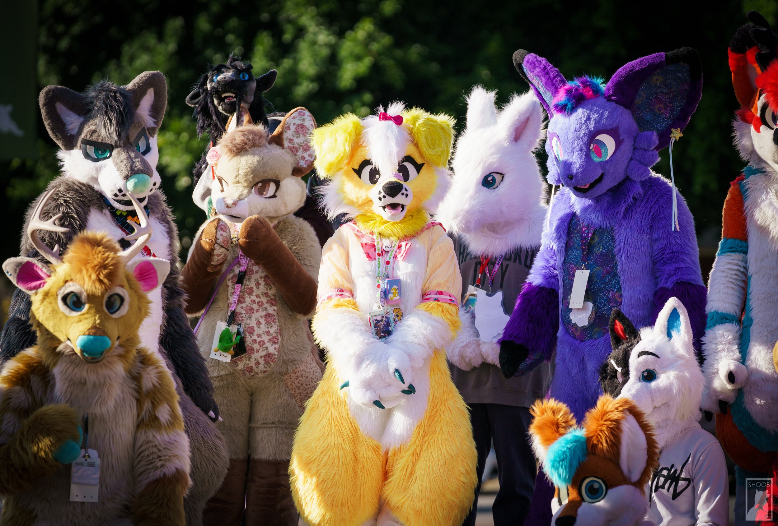 Aurawra - Sydney's Furry Convention