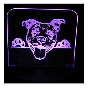 Mini Edgelit — LED TEAM SIGNS