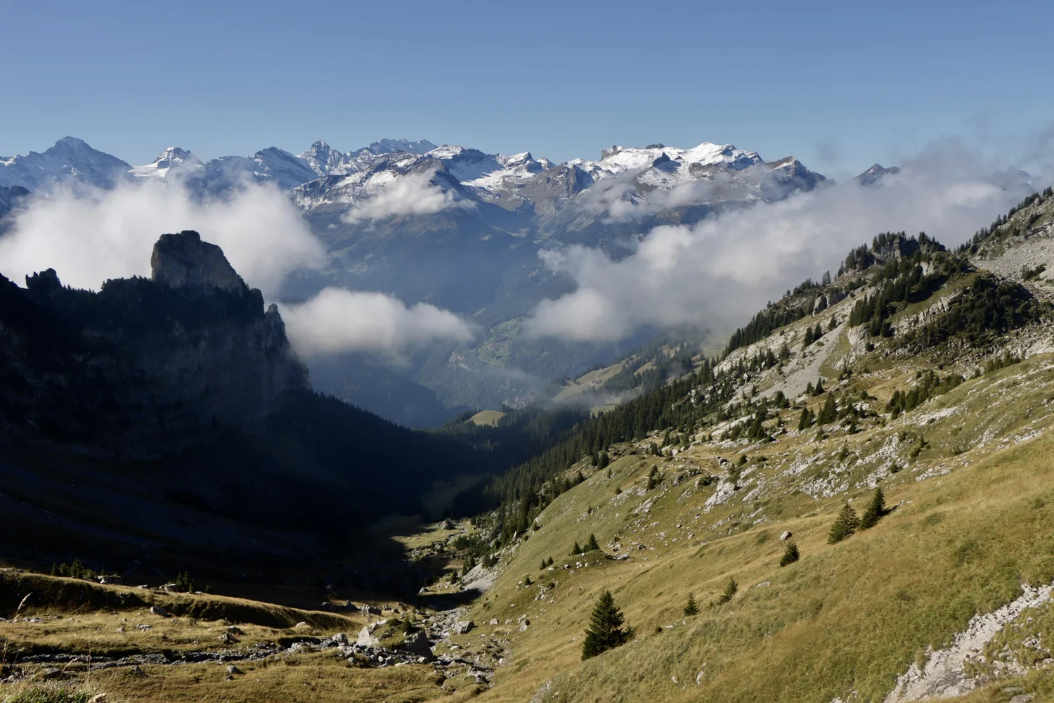 Walking the Faulhornweg: Schynige Platte to First via the Faulhorn ...