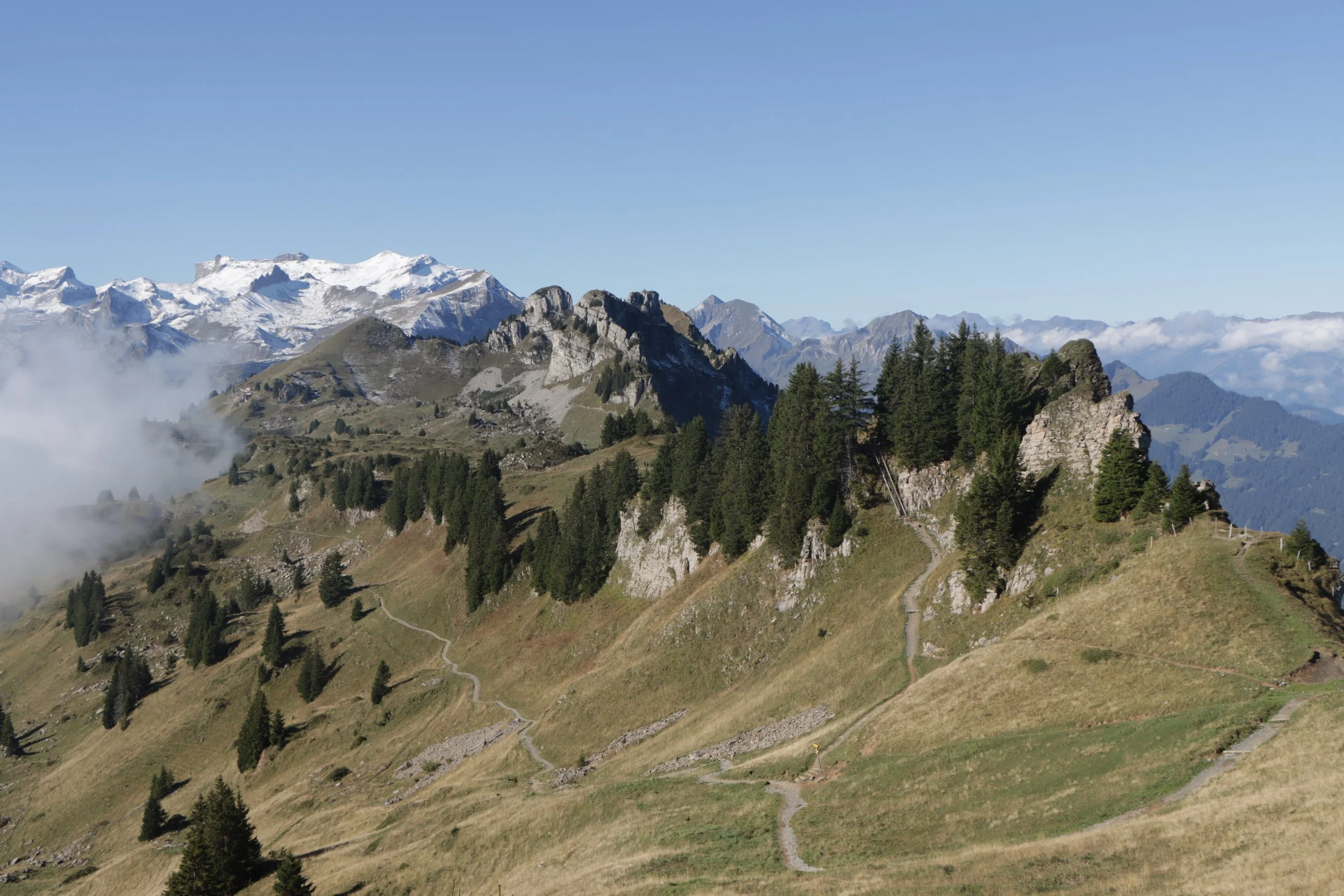 Walking the Faulhornweg: Schynige Platte to First via the Faulhorn ...