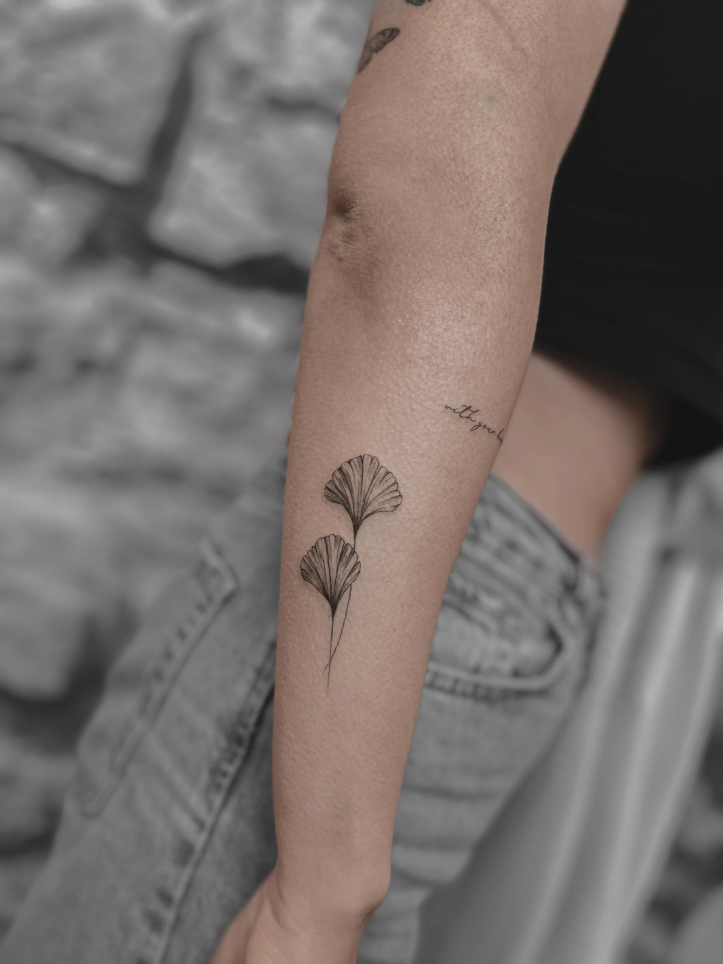 Celina — VACUO Studio