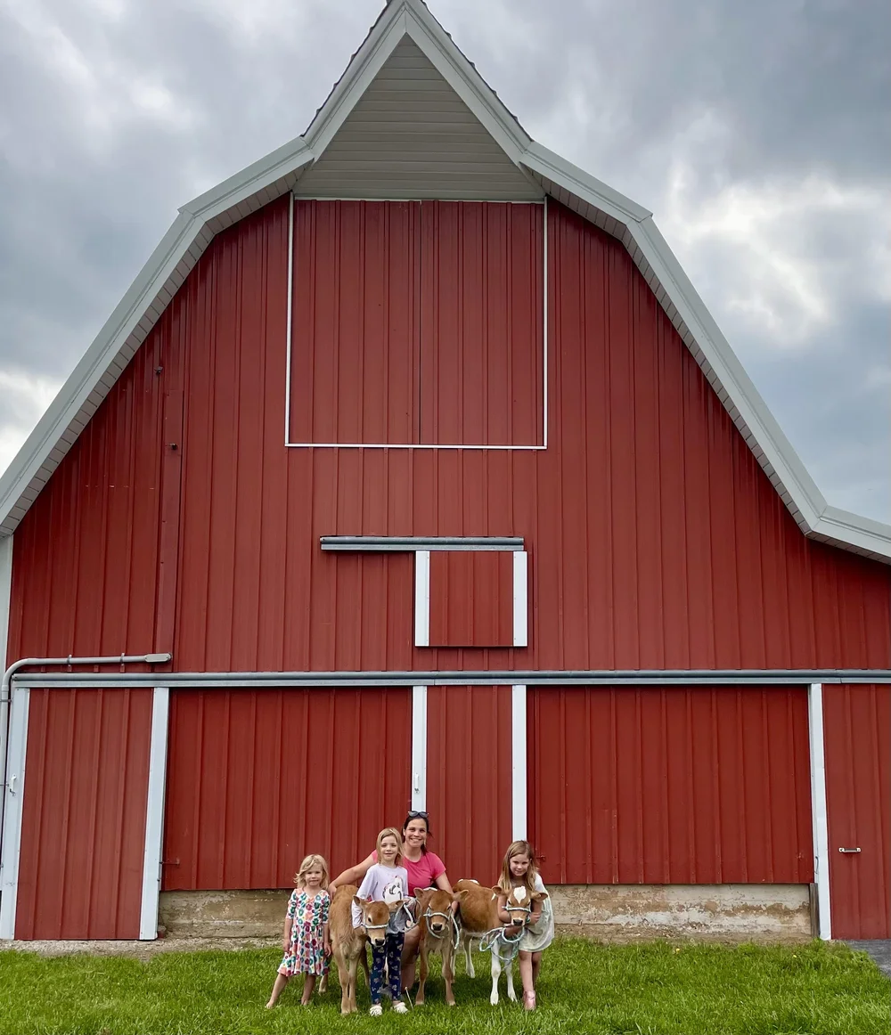 Mini Jersey | Rosewood Farm Miniature Jerseys - Miniature Jersey Cows ...
