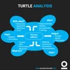 Turtle Analysis — Operations Insider