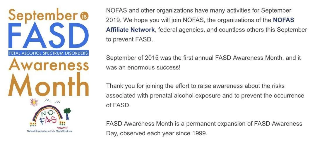 Contact — Meta House