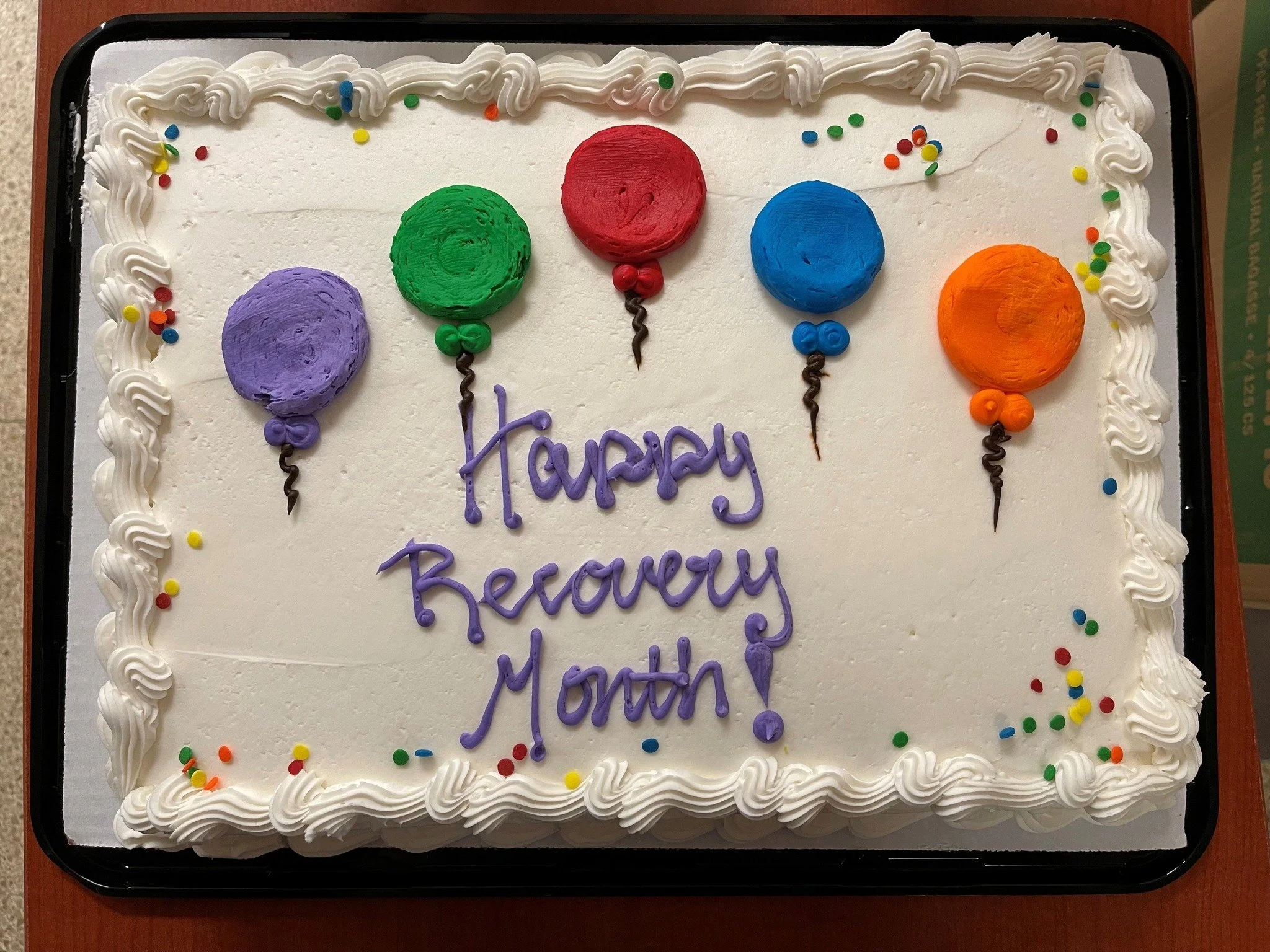 Contact — Meta House