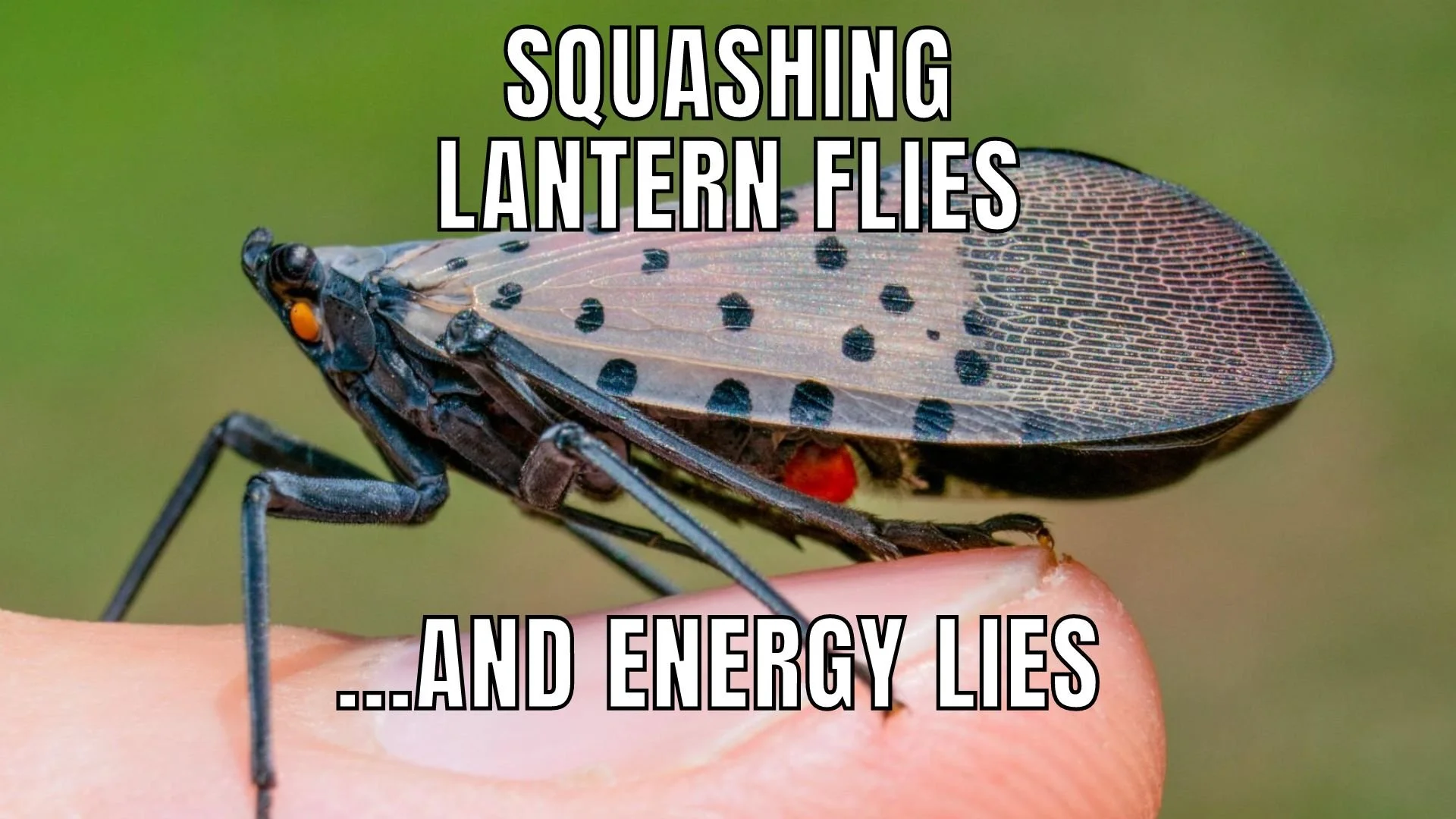 The Energy Detox: A Leadership Podcast with Oilfield Flair — Witting ...