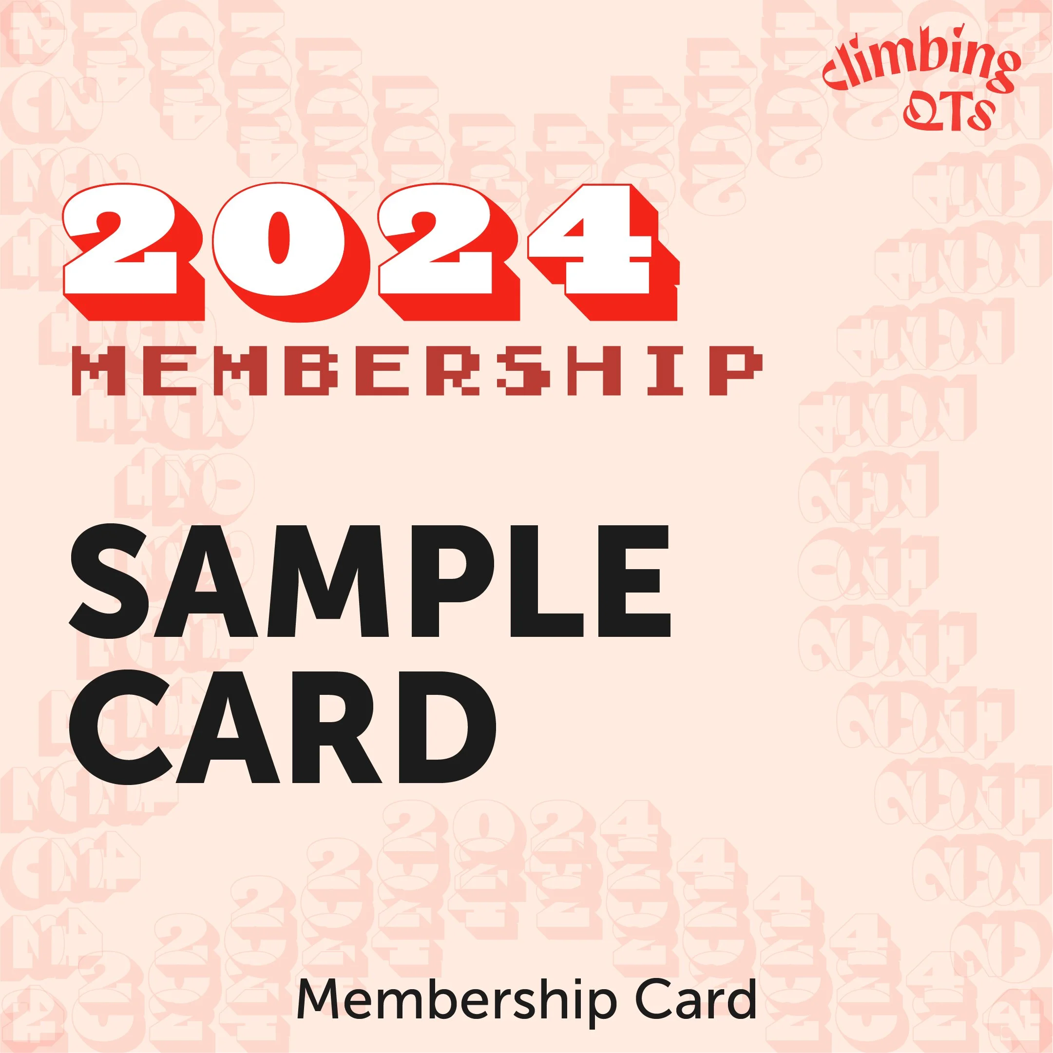 Shop — ClimbingQTs
