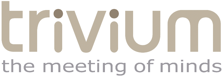 LEGO® SERIOUS PLAY® Method Training — Trivium