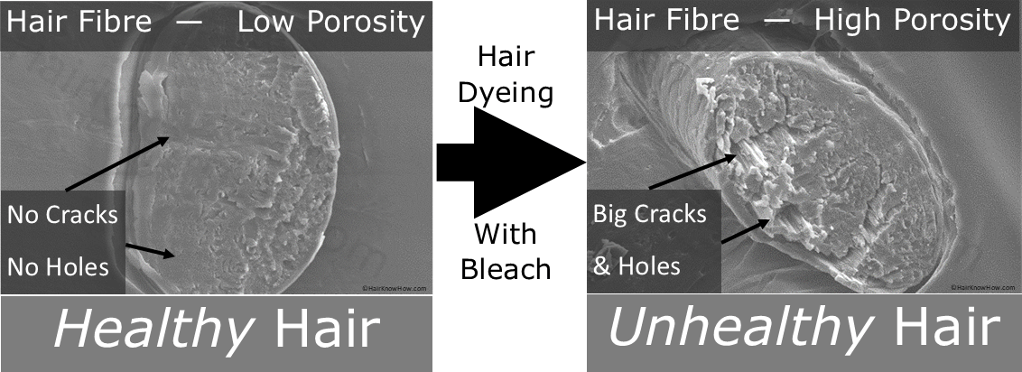Hair Porosity Test Analysis Scientific And Accurate From The ...