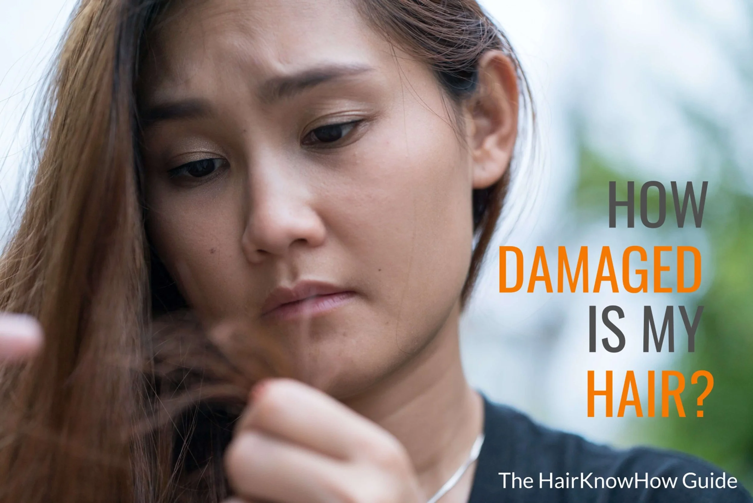 How Damaged Is My Hair Start Making Informed Positive Changes To Your