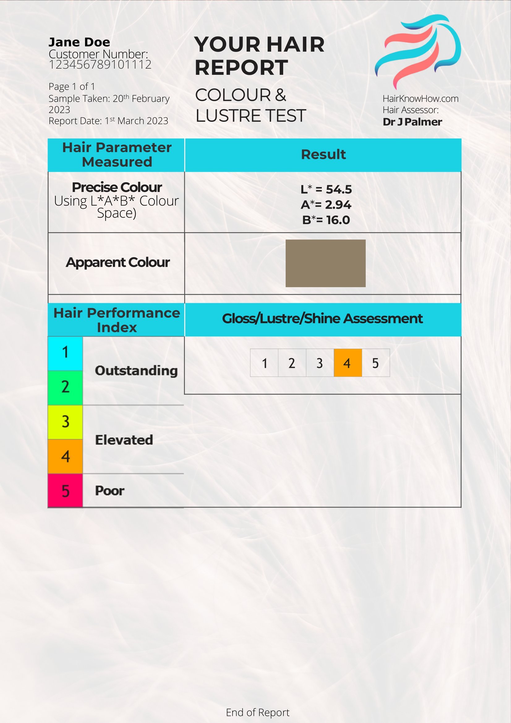 Hair Colour And Lustre Test For Hair Clinics - Monitor Your Clients ...