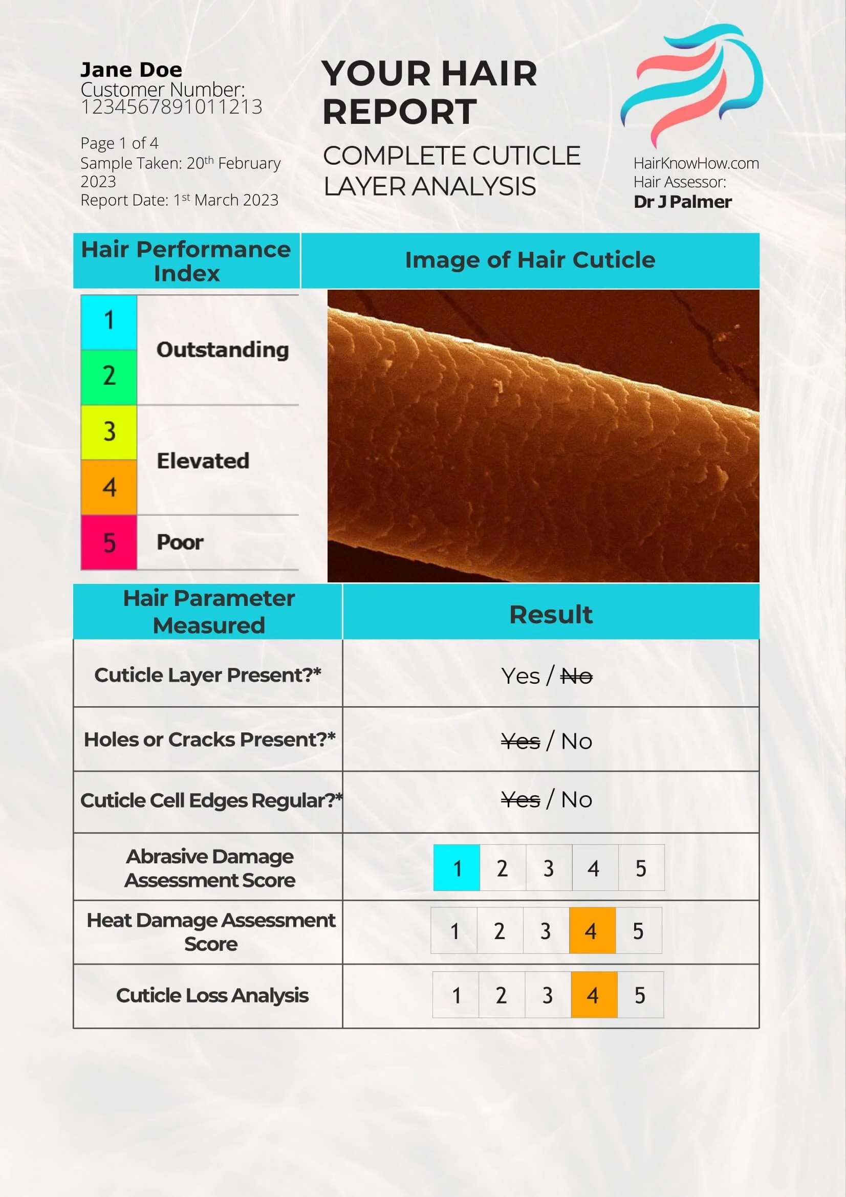 Hair Clinic Cuticle Layer Analysis - Get Deep Insights Into The Health ...