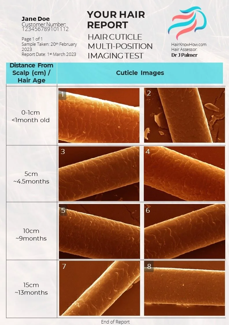 HairKnowHow - Cuticle Imaging Multi-Length Test, Hair Clinic Services ...