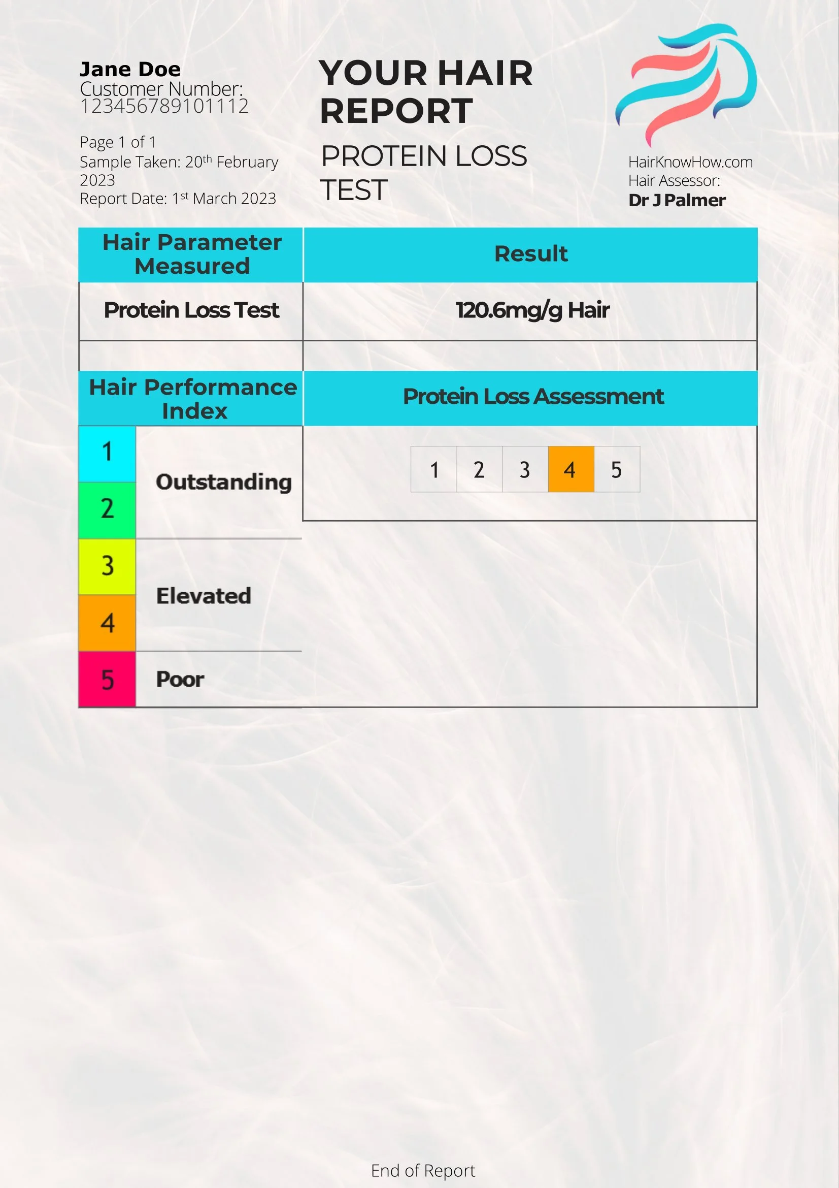 Hair Protein Loss Test - Find Out The Rate Of Your Client's Hair ...