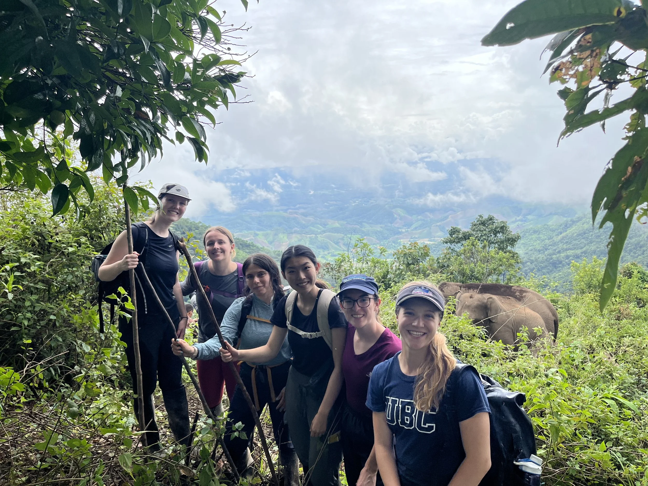 Applied Elephant Behaviour and Conservation Field Course in Thailand ...