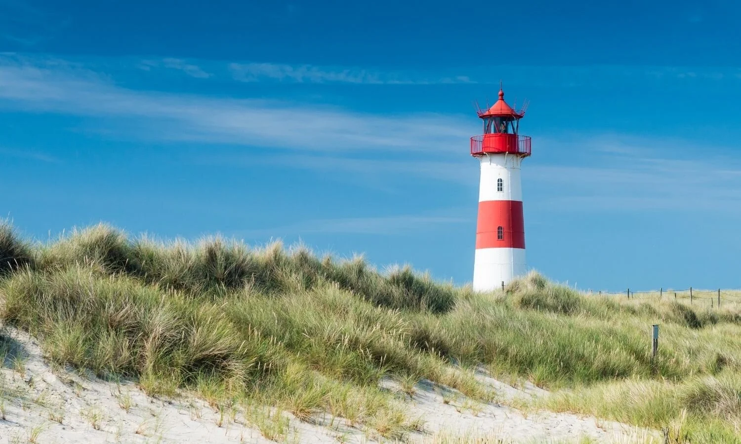 Curious Lighthouse — Aspire4Business