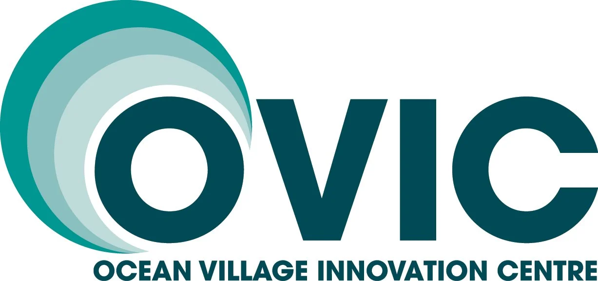 Twilight Business Academy Night School for Entrepreneurs, Fledgling ...