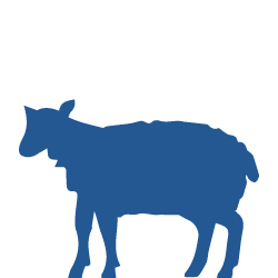 About Us — Fundy Veterinarians