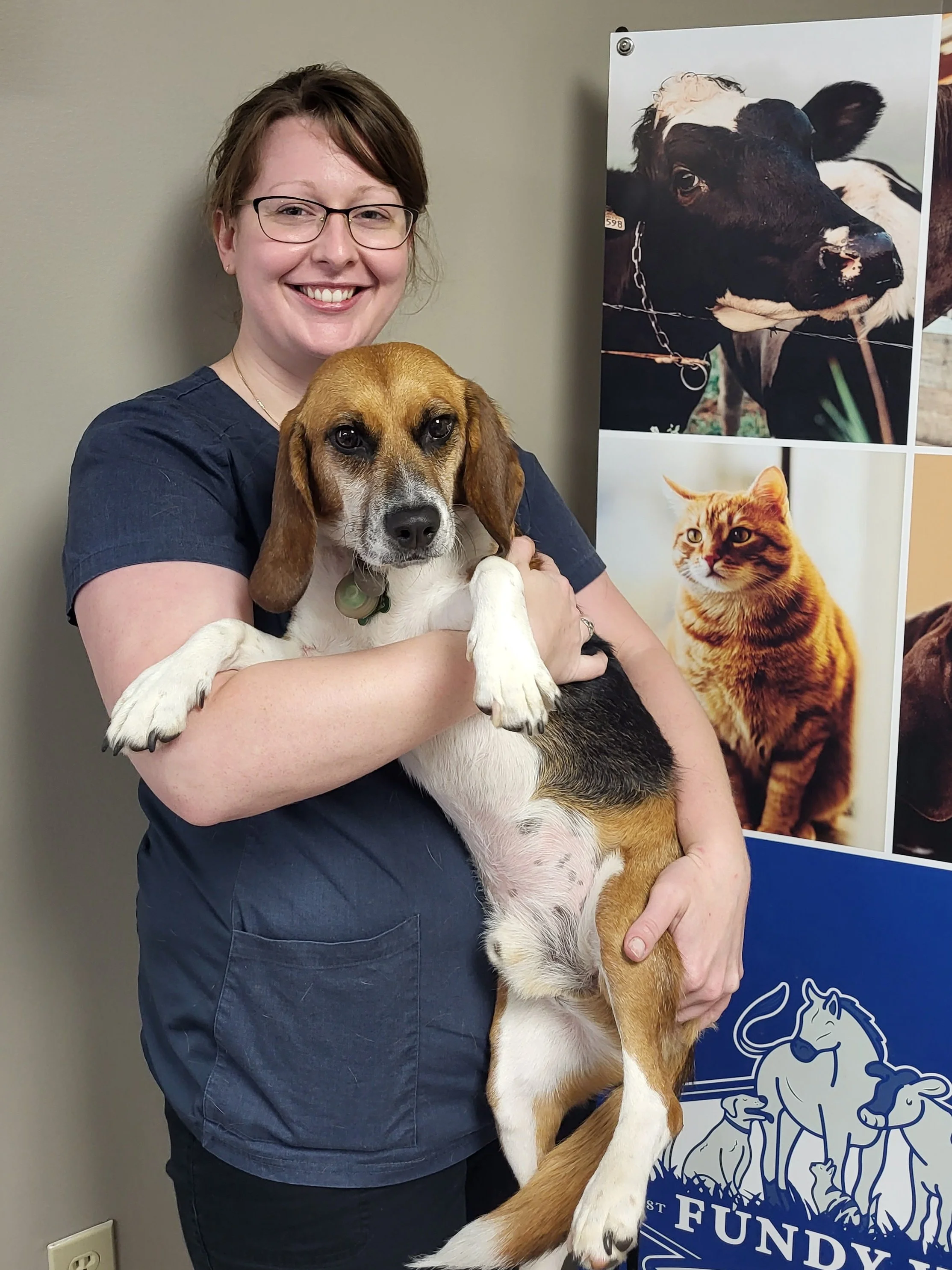 About Us — Fundy Veterinarians