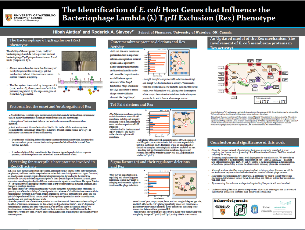 Rex Phenotype — Theraphage
