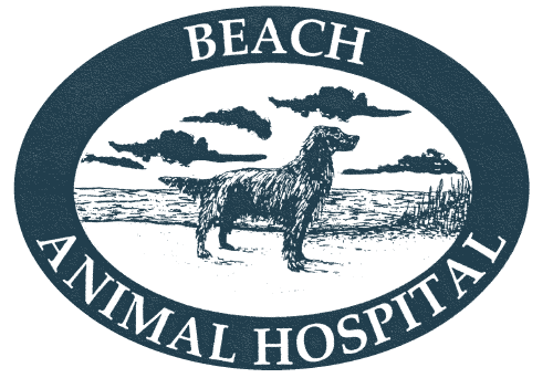 Beach Animal Hospital