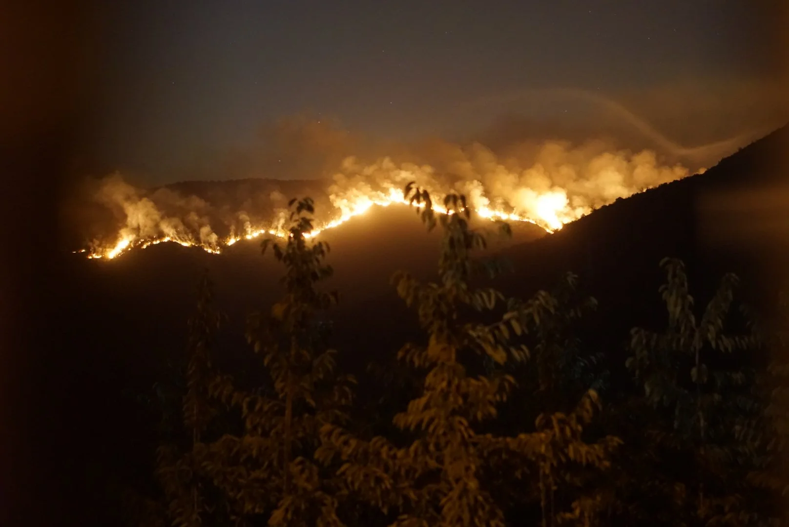 Chile Wildfire Support — Diocese of the Mid-Atlantic