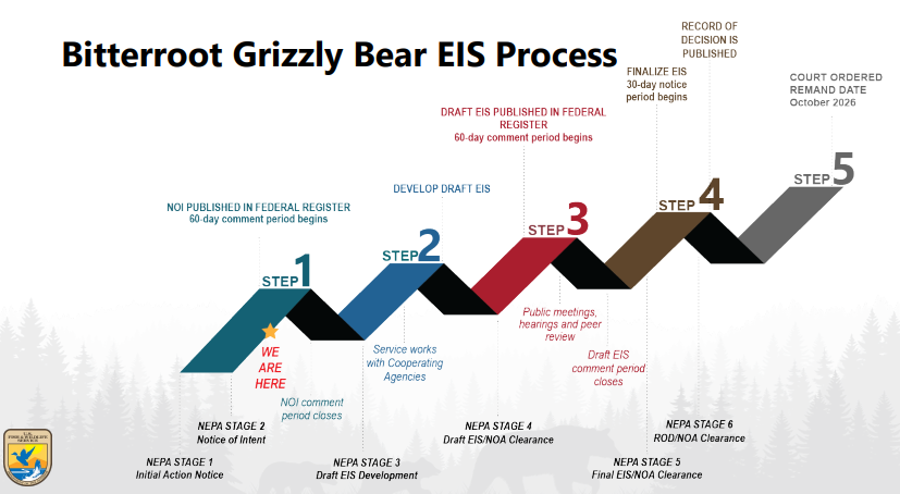 IWF Comments: Bitterroot Grizzly Bear EIS Project — Idaho Wildlife Federation