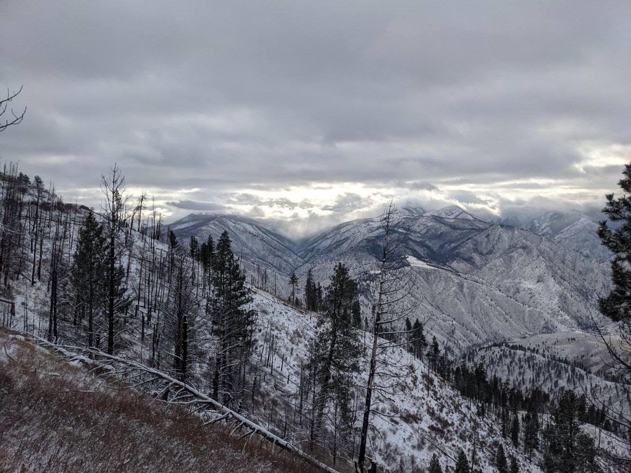 The CWD Dilemma — Idaho Wildlife Federation