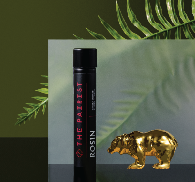 The Whitethorn Rose Rosin Infused Pre-Roll Wins the Golden Bear Award ...