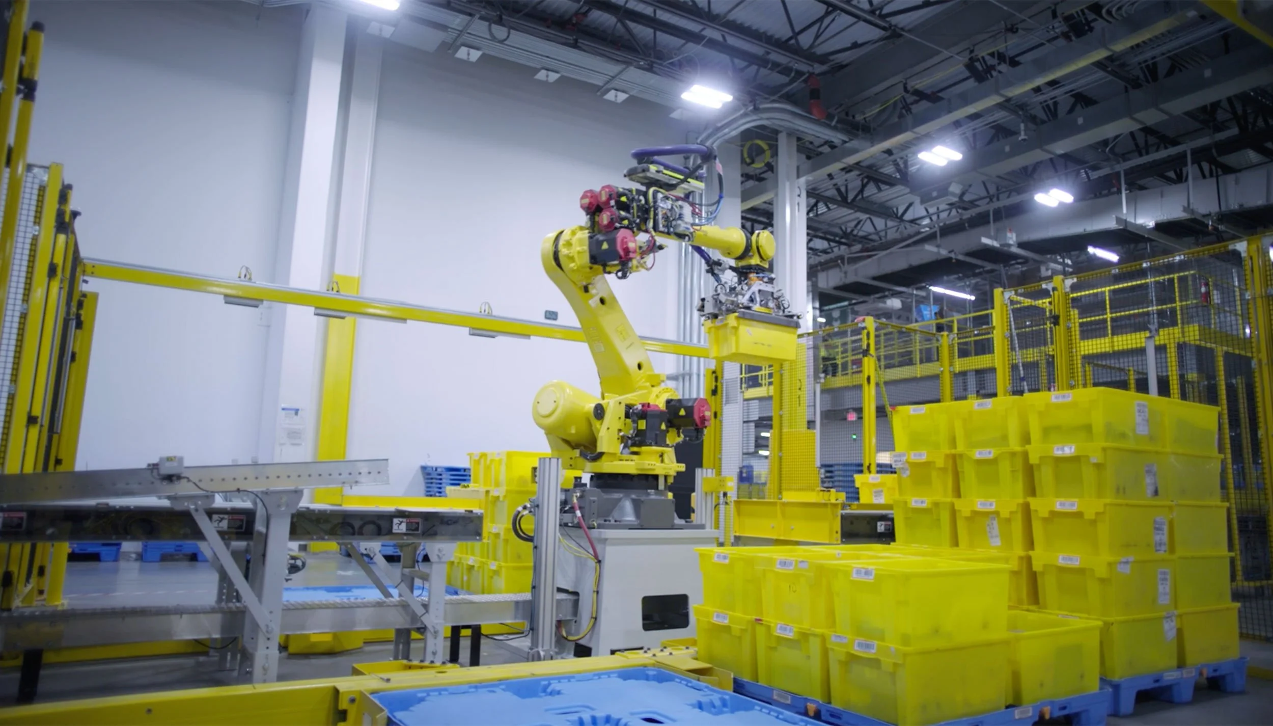 Amazon — Sanders\Wingo