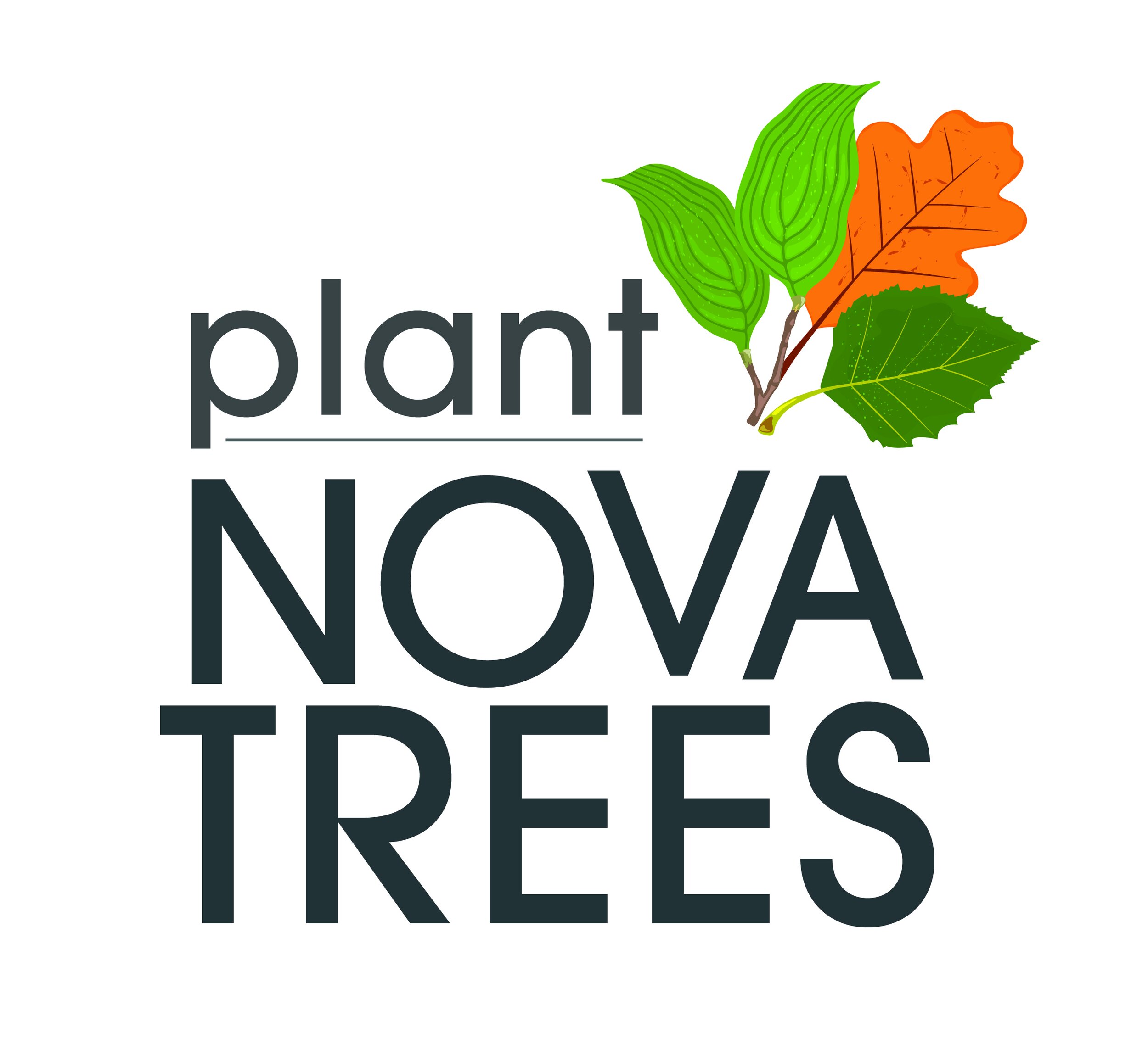 Plant NOVA Trees Launched! — Northern Virginia Bird Alliance