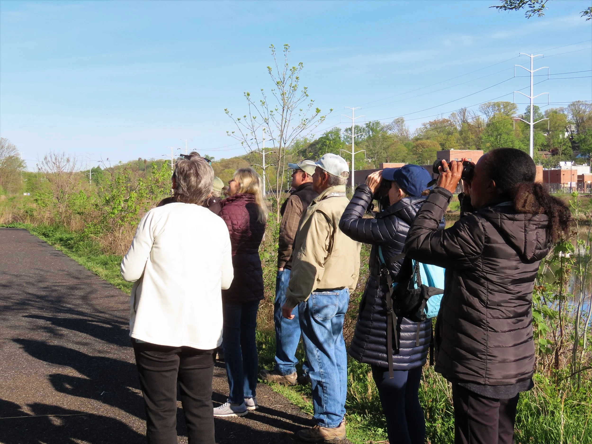 Volunteer with SOP Managing Partners — Northern Virginia Bird Alliance