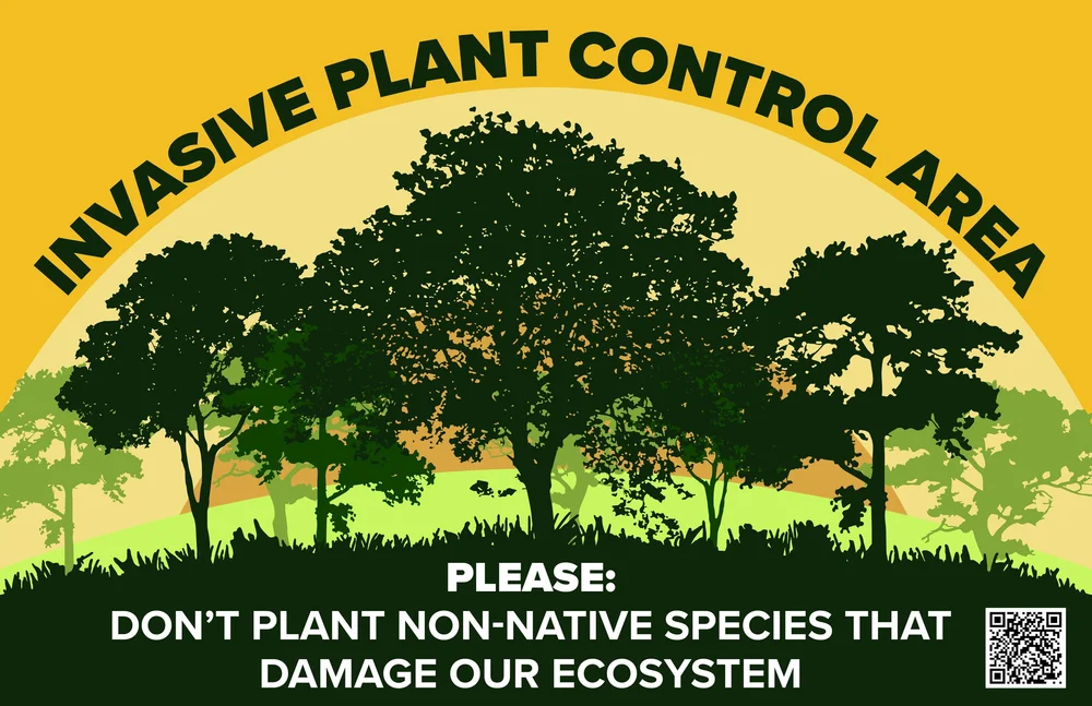 Mini-grants for Invasive Removal Completed — Northern Virginia Bird ...