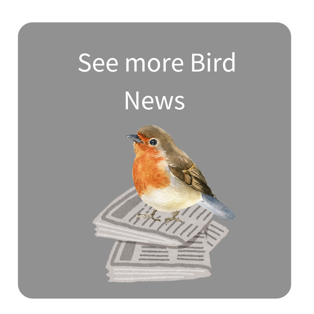 The Birds Are Coming – Will the Lights Be Out? — Northern Virginia Bird ...