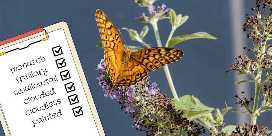 Upcoming Workshops and Classes — Northern Virginia Bird Alliance