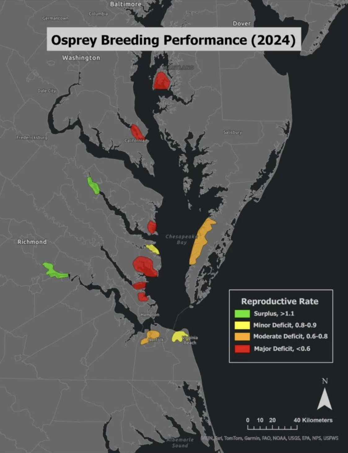 Ospreys and the Menhaden Question — Northern Virginia Bird Alliance