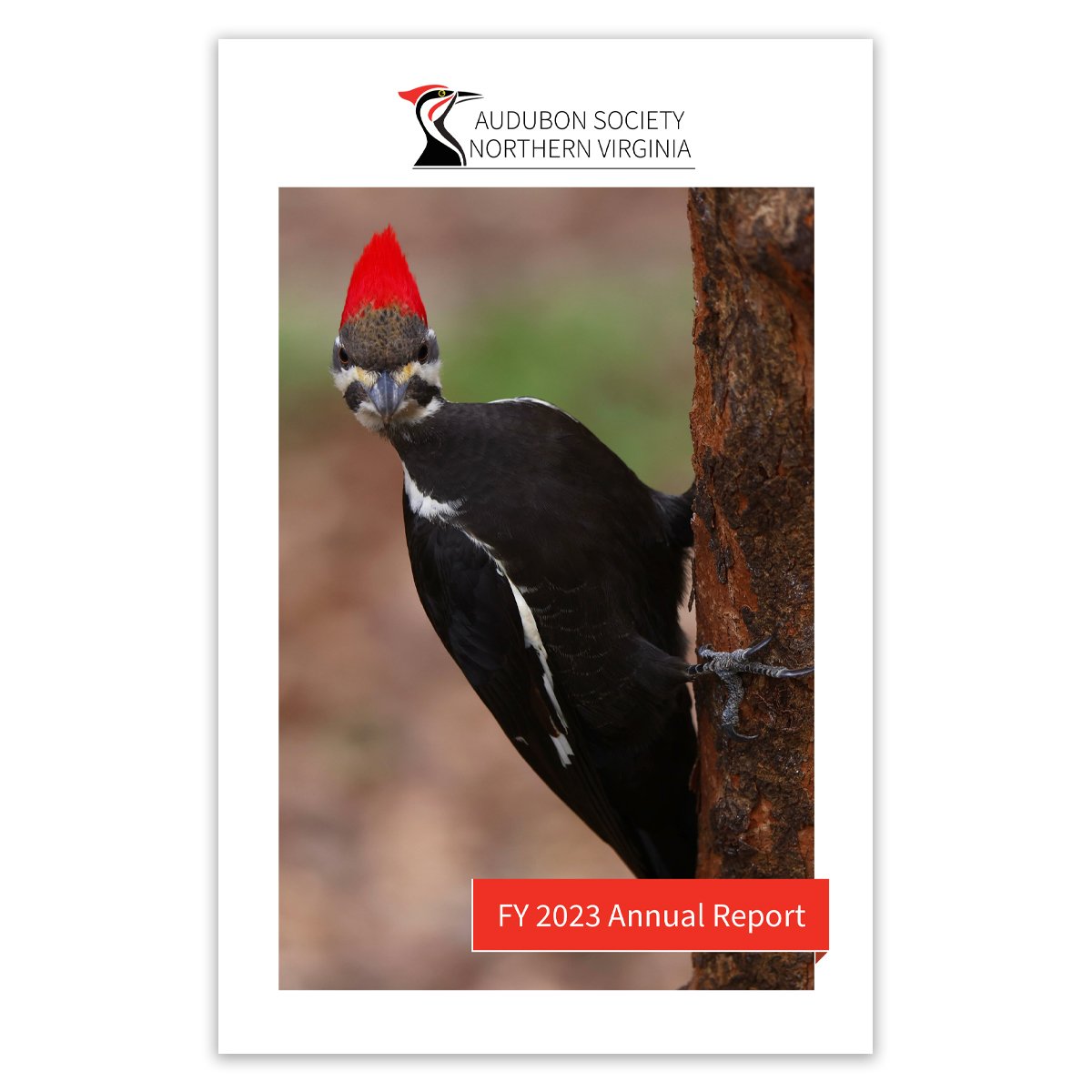 FY2023 Annual Report — Northern Virginia Bird Alliance FY2023 Annual Report — Northern Virginia Bird Alliance