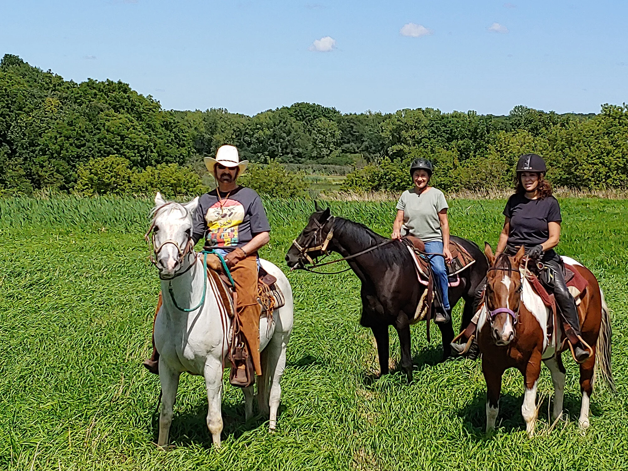 General 3 — Wedgewood Stables