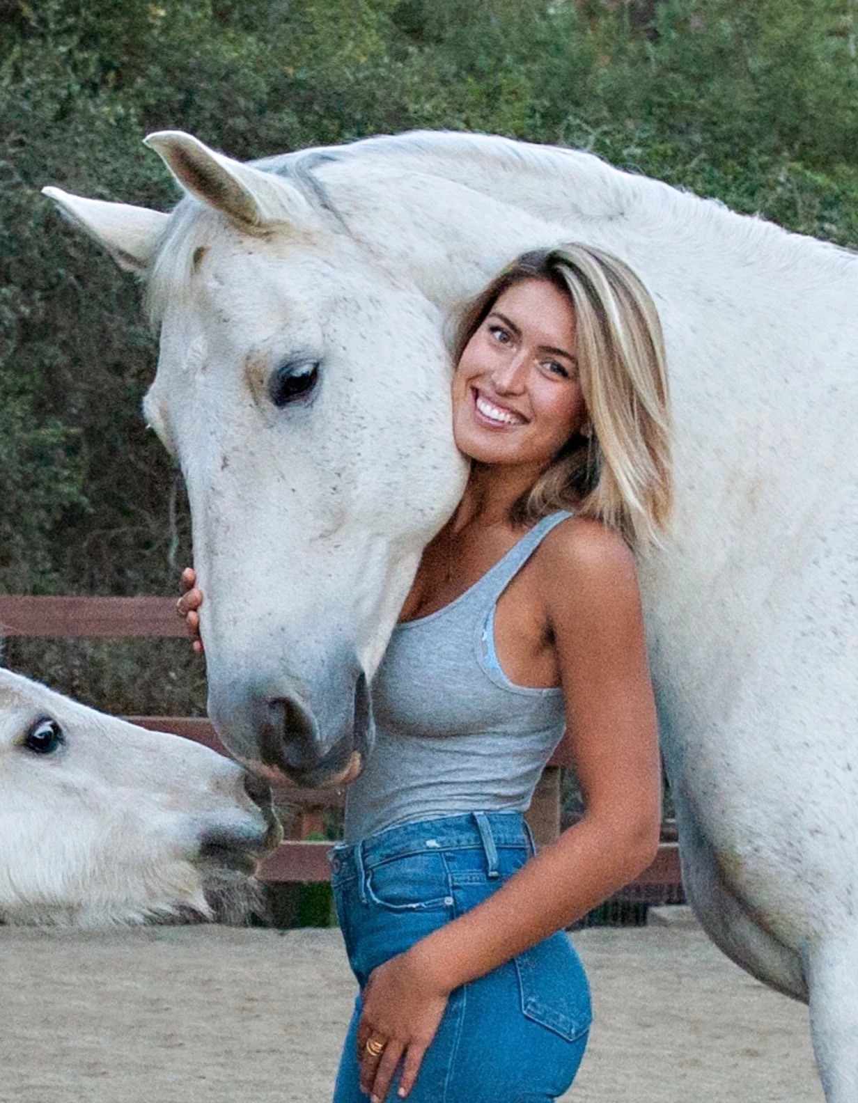 Our Team — Horse and Heart