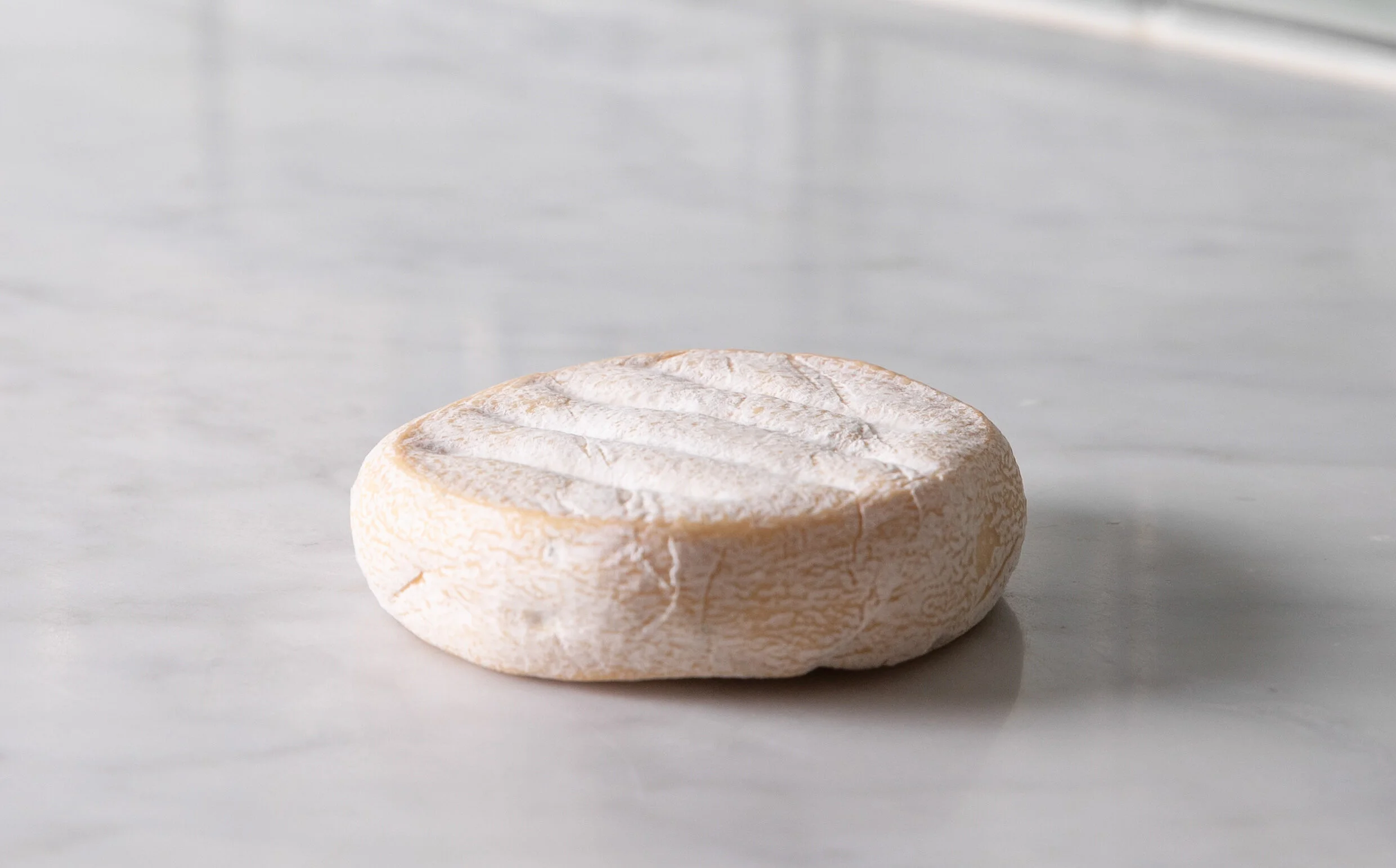 Luigi Guffanti Cave Ripened Taleggio — Maker & Monger