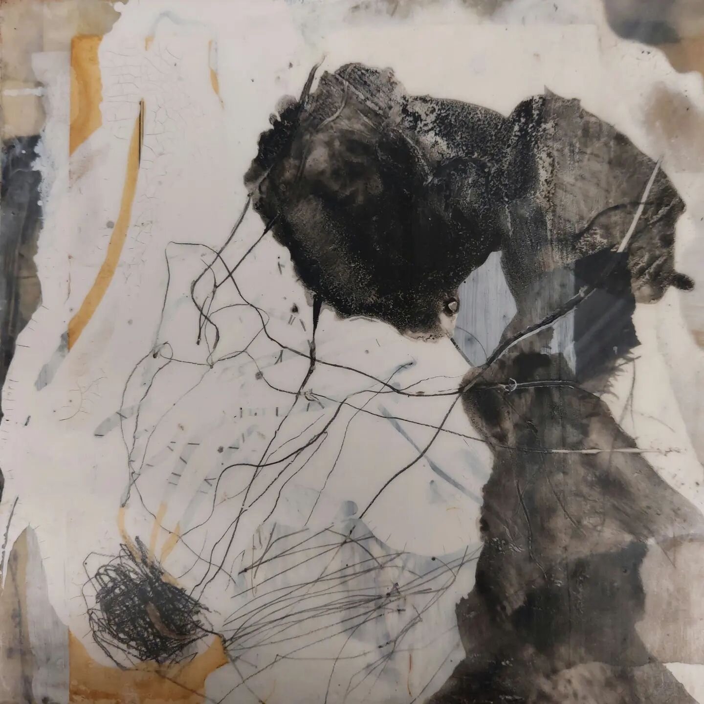 HEIDI VON NIEDERHÄUSERN