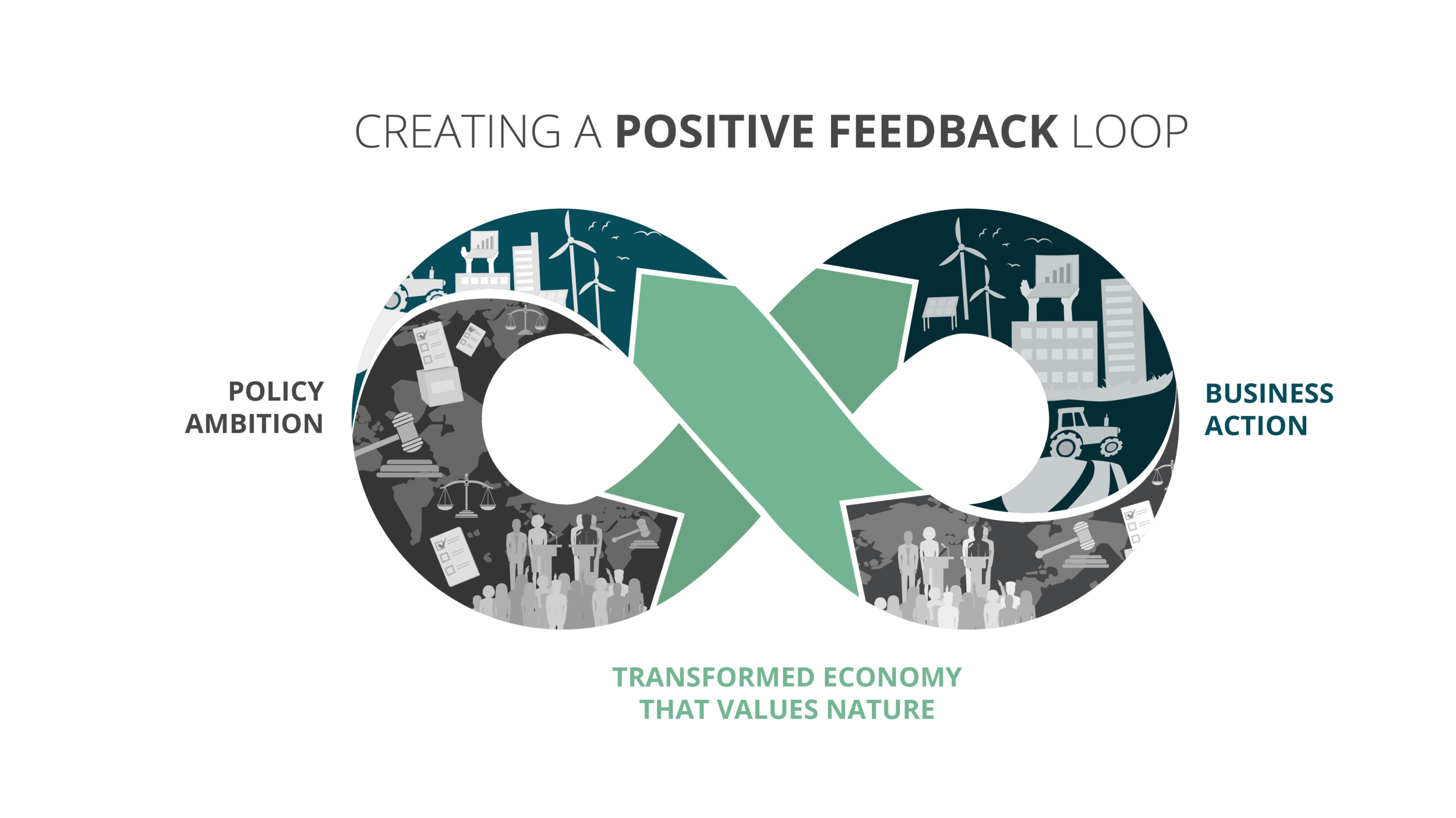 Advocating for Nature: A guide for responsible policy engagement ...