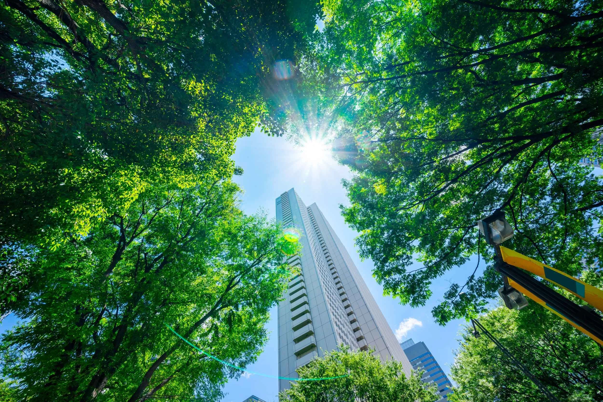 Business For Nature