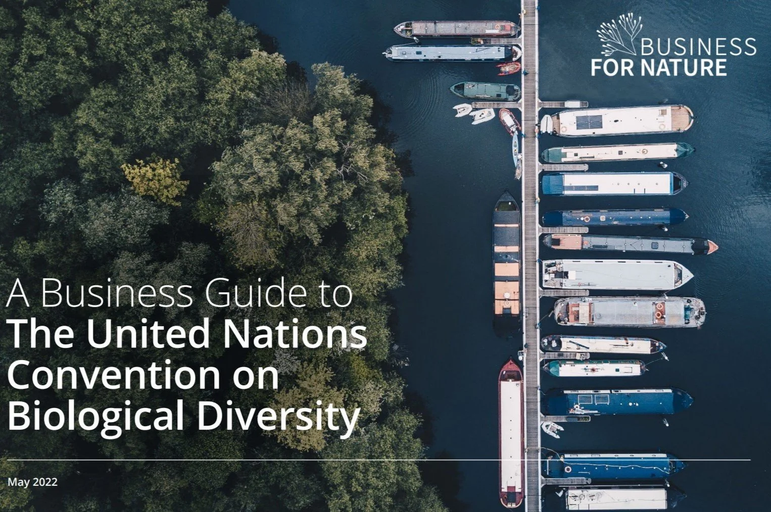 Read our Business and Finance guides to the UN Convention on Biological ...