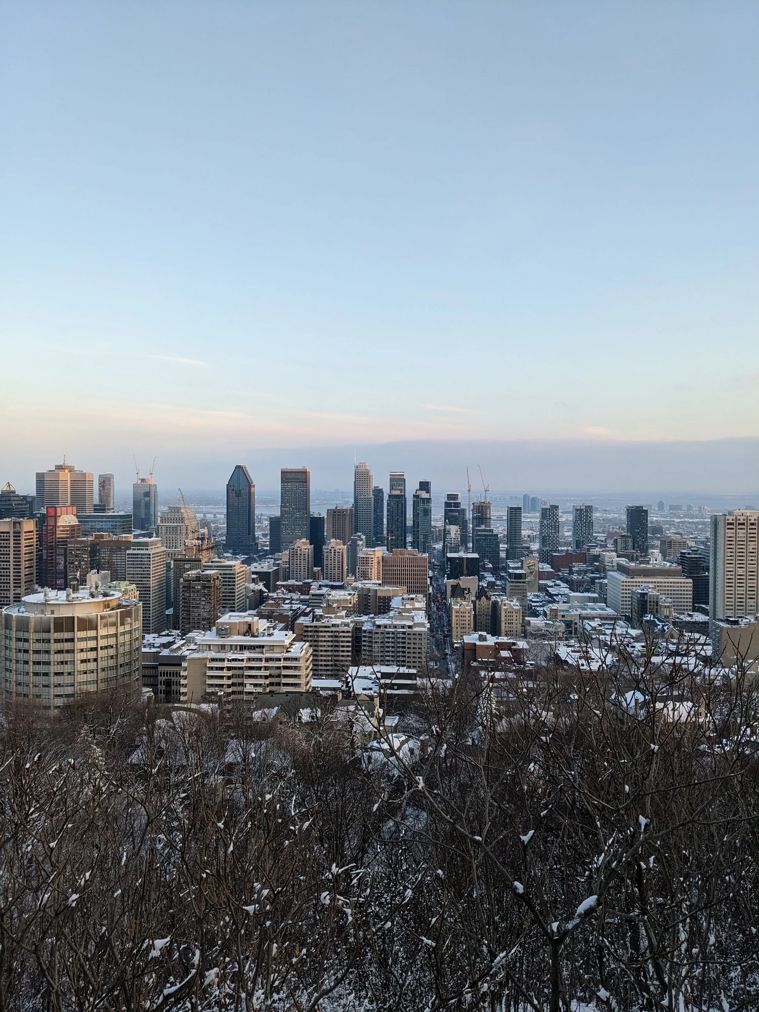COP15 reaction: Governments send strong and unambiguous signal to ...