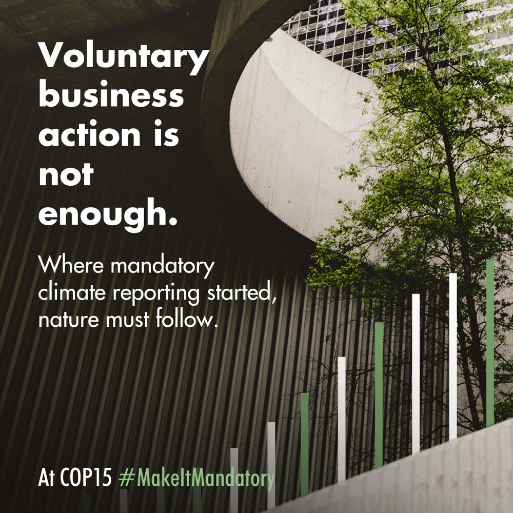 More than 330 businesses call on Heads of State to make nature ...
